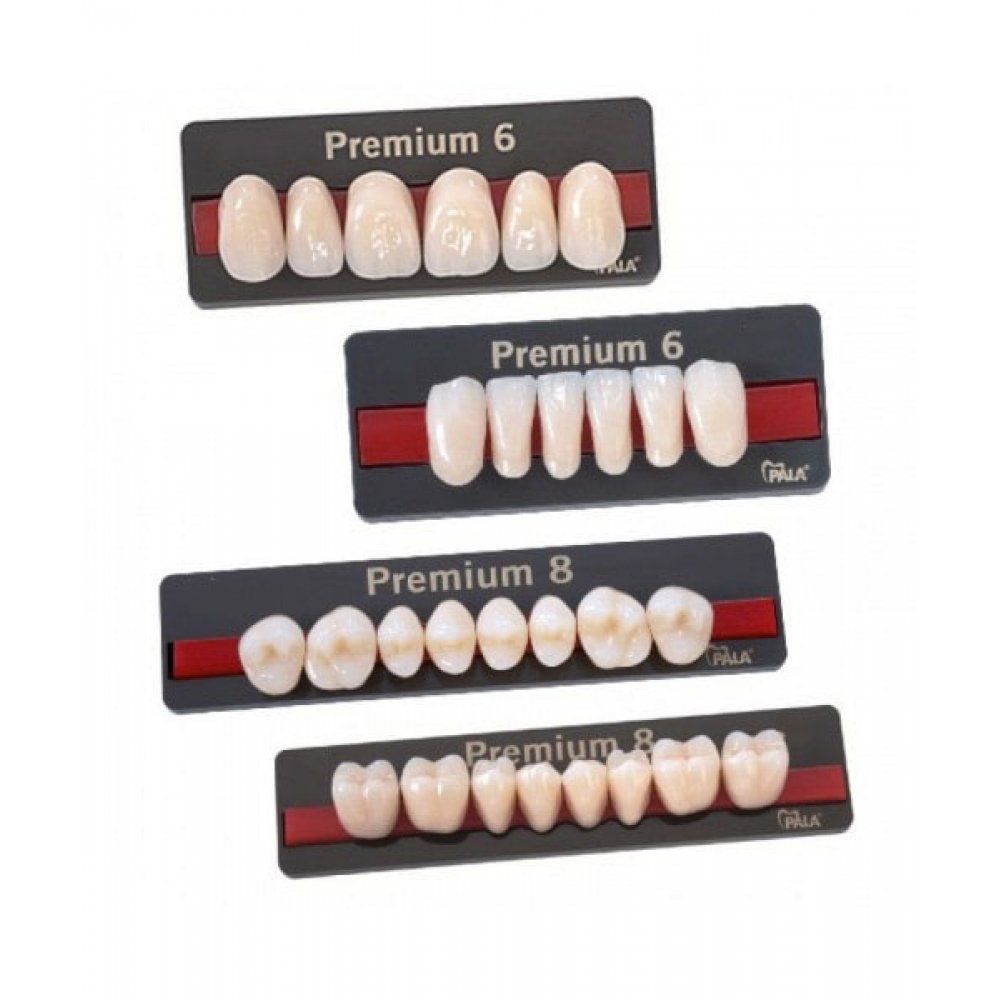 Dente Premium L12 Inferior B1 - Kulzer